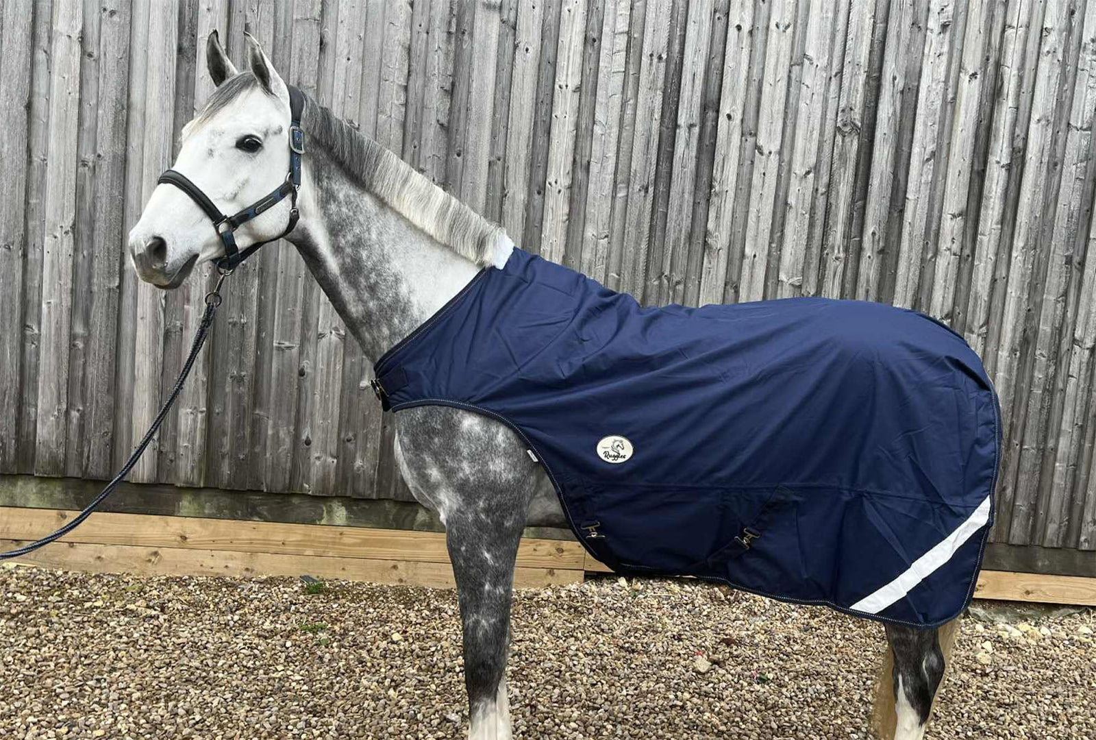 Horse Pony Rugs At Ruggles we have created a range of rugs perfectly ...
