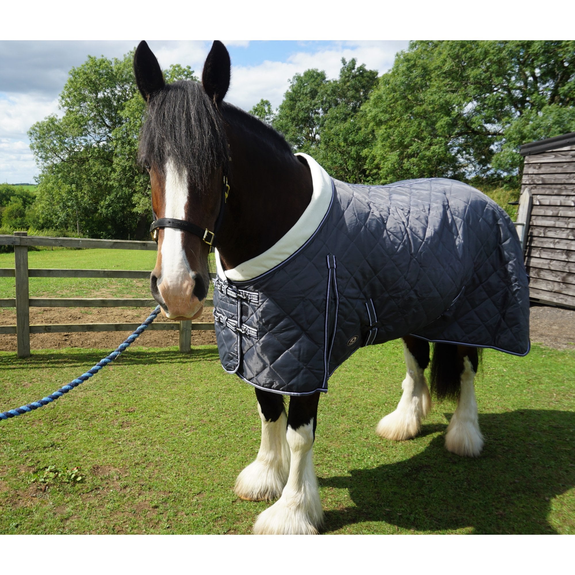 Heavy Horse 100g Stable Rug With Fleece Collar – Ruggles Equestrian