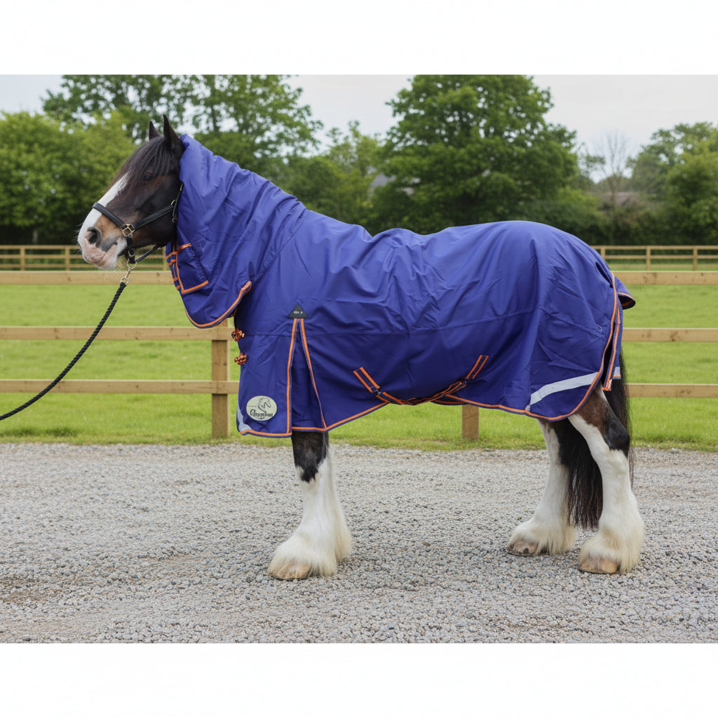 Heavy Horse Heavyweight 400g 1200D Combo Turnout Rug – Ruggles Equestrian