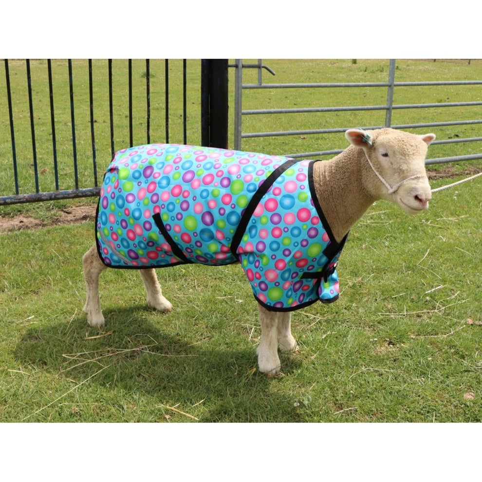 Sheep Rug – Ruggles Equestrian
