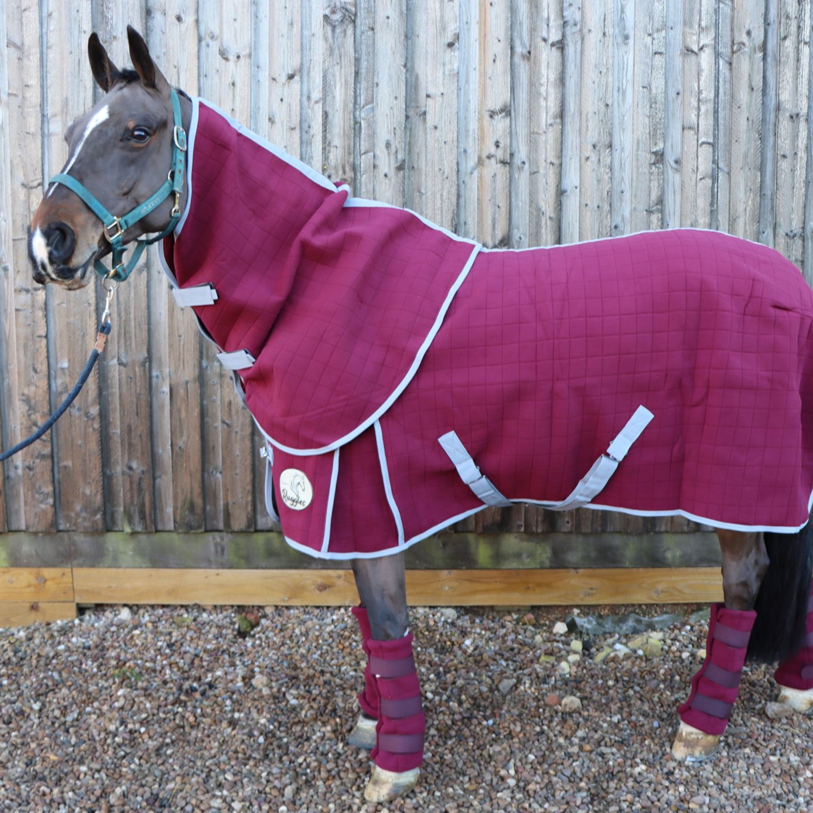 Ruggles: Horse Rugs & Accessories For All Sizes & Breeds – Ruggles ...