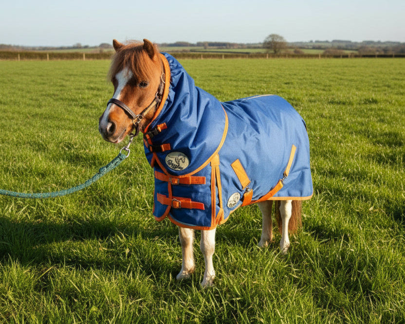Shetland-Miniature-Donkey-Section A 200g V2 Neck Cover Only (Matching ...
